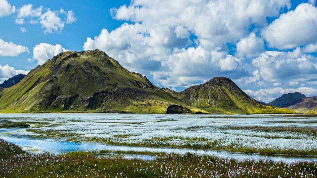 Landvernd in English - Landvernd the Icelandic Environment Association